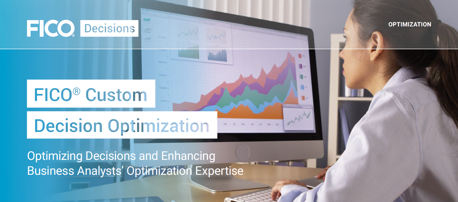 FICO® Custom Decision Optimization
